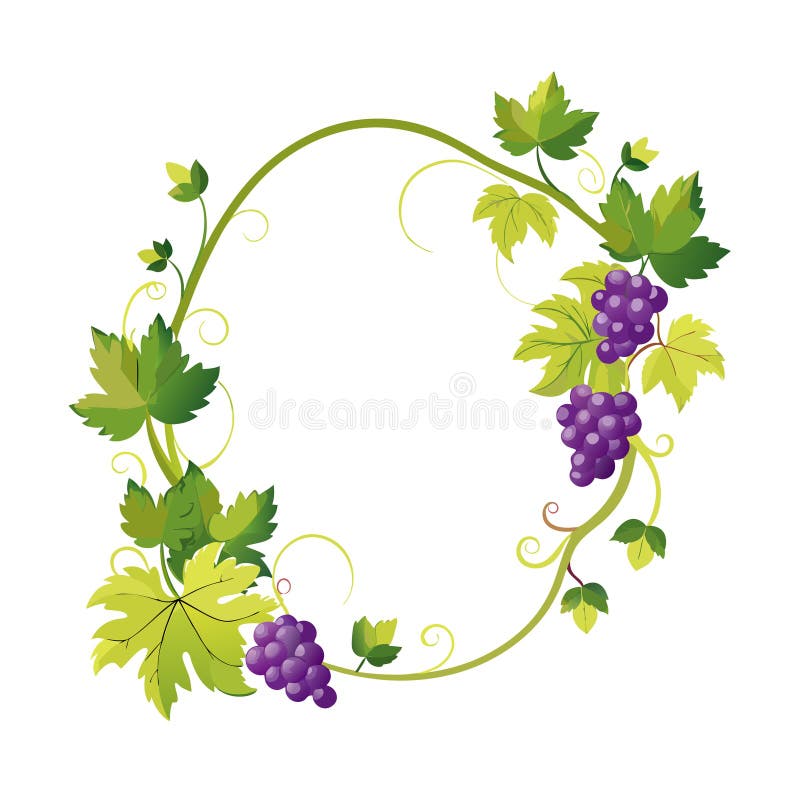 Grapevine Circle Frame with Leaves and Grapes, Botanical Design Element ...