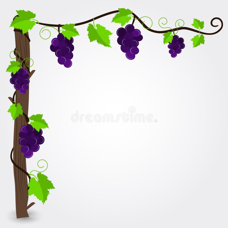 Grapevine frame stock vector. Illustration of graphic - 53673108