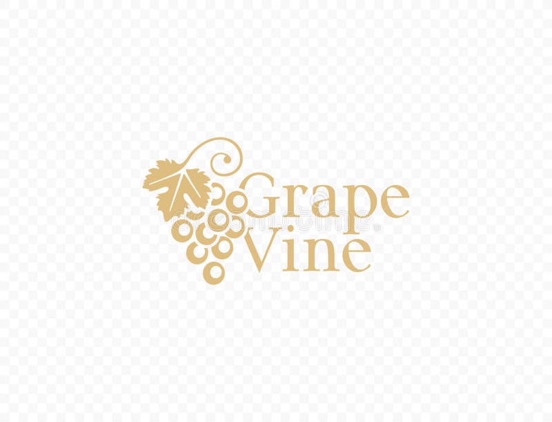 Grapevine with Grape Leaf Vector Logo Design. Hanging Grapes Design ...