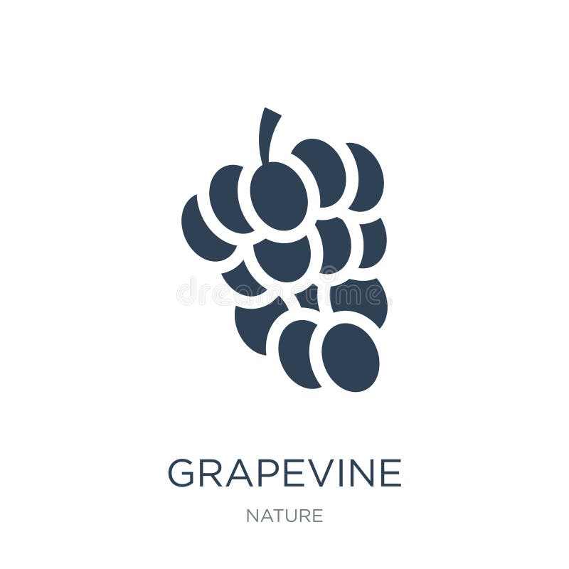 Grapevine Icon in Trendy Design Style. Grapevine Icon Isolated on White ...