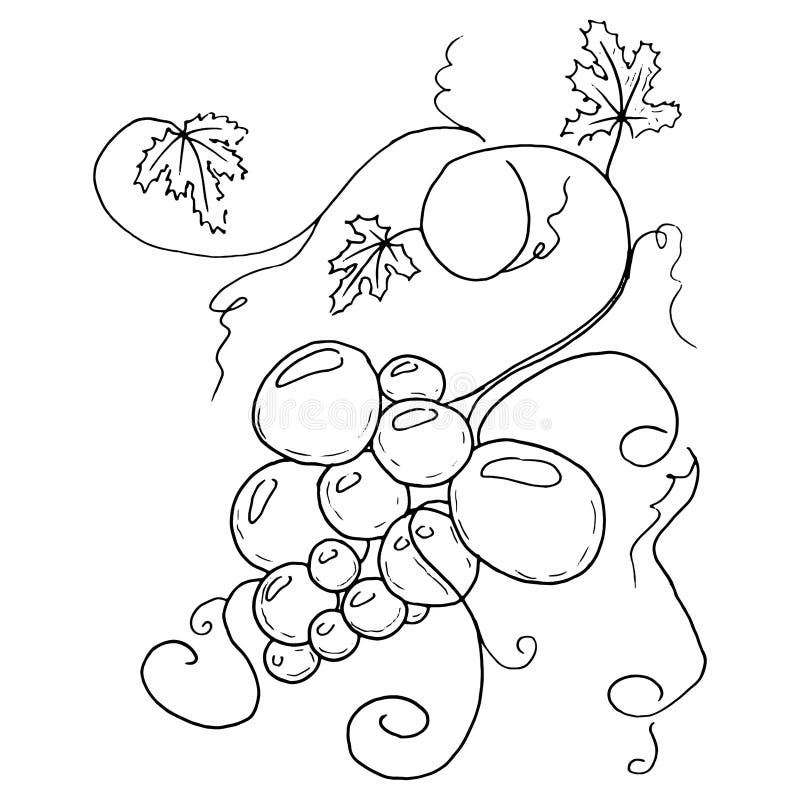 Vineyard Coloring Stock Illustrations – 94 Vineyard Coloring Stock ...