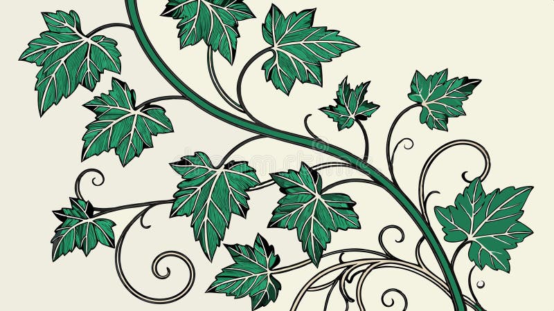 Grapevine Leaves and Tendrils Close,up in a Vineyard Setting Vector ...