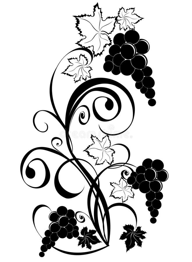 Grapevine. Wine Design Elements. Stock Vector - Image: 27795431