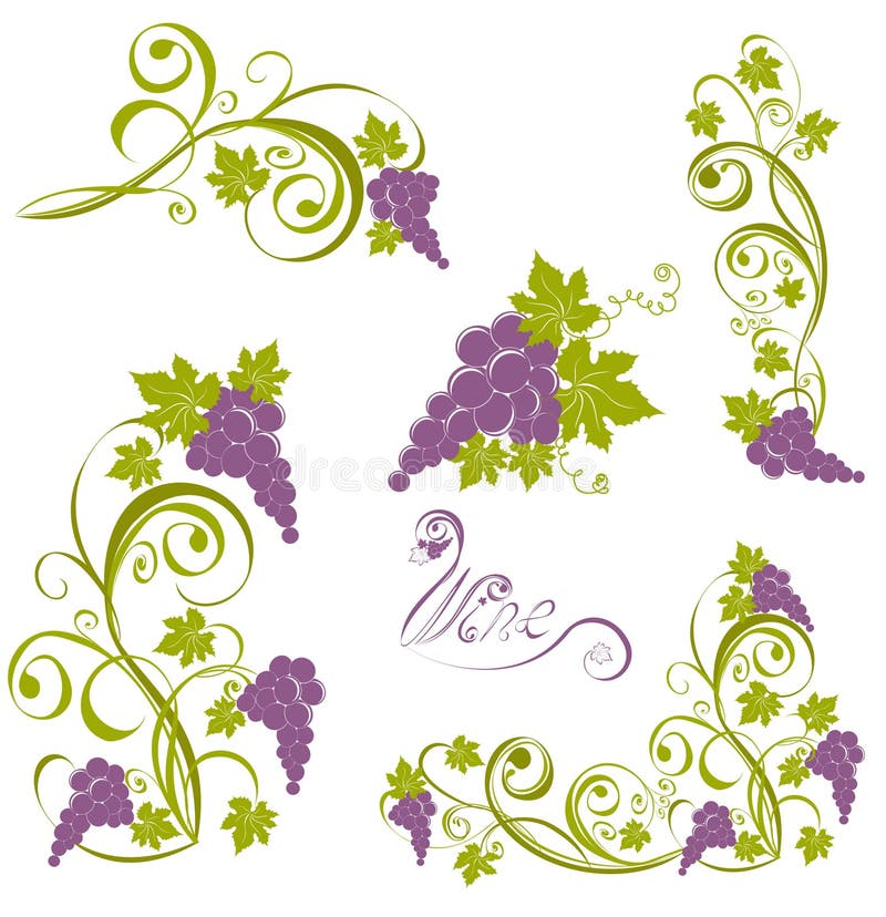 Grapevine. Wine Design Elements Stock Vector - Illustration of ...