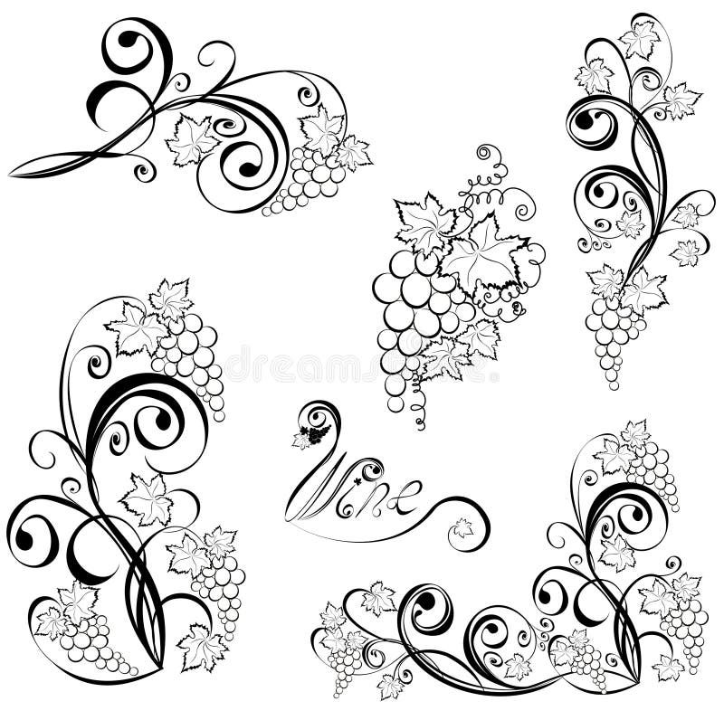 Grapevine. Wine Design Elements. Stock Vector - Illustration of frame ...