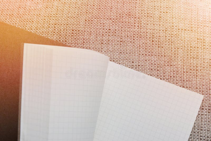 Graph Book Open, Grid Chart for Notes or Statistics and Empty Space for ...