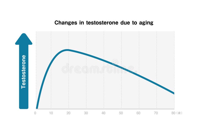 Graph of Changes in Male Hormone Due To Aging Stock Vector ...