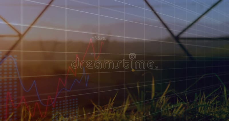 Graph Lines Overlaying Agricultural Field at Sunset with Animation ...