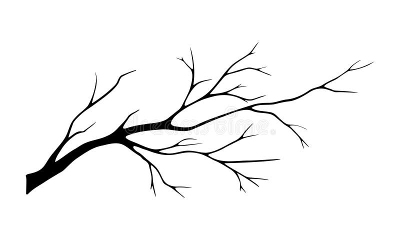Black and White, Vector Illustration of an Empty, Dry Tree Branch ...