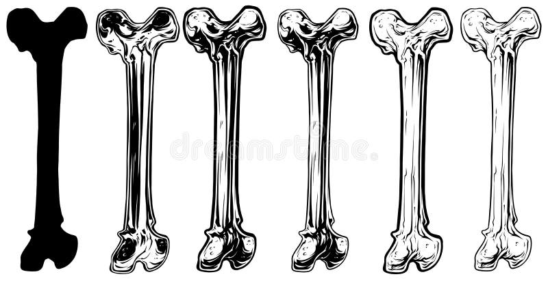 Graphic Black and White Broken Bones Vector Set Stock Vector ...