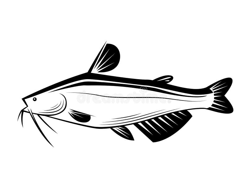 Graphic catfish, vector stock vector. Illustration of background - 79228968
