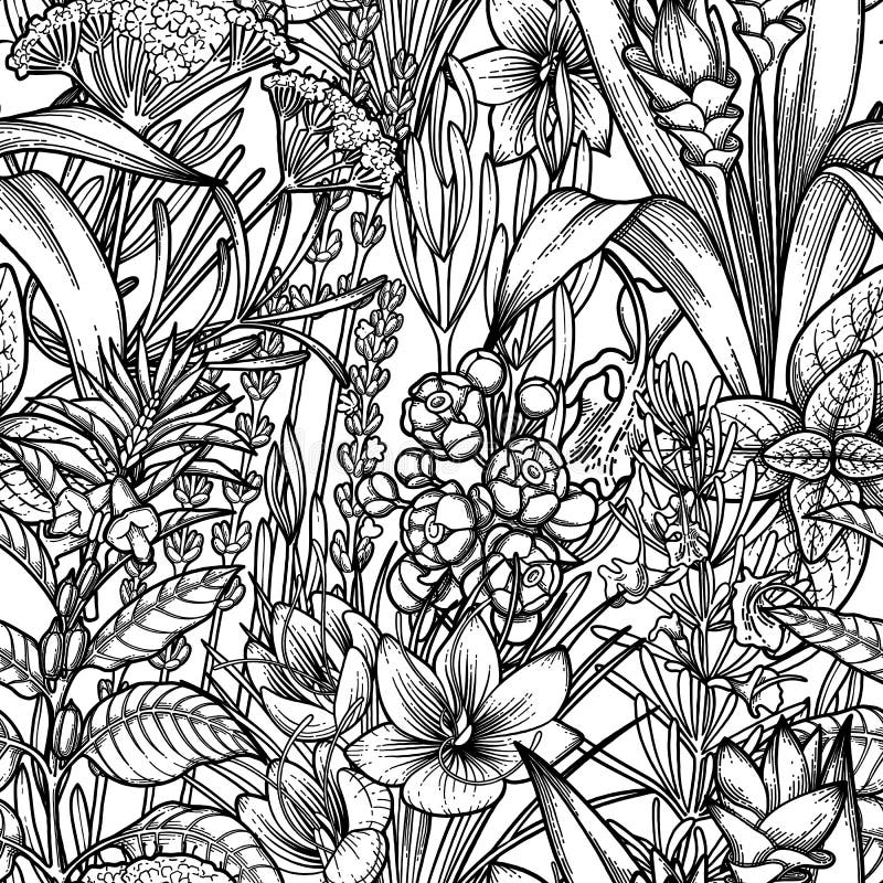 Graphic sesame pattern stock vector. Illustration of asia - 113913756