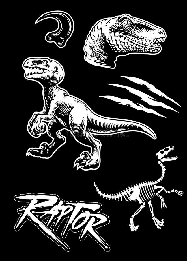 Graphic Collection of Raptors Isolated Vector Illustration Stock Vector ...