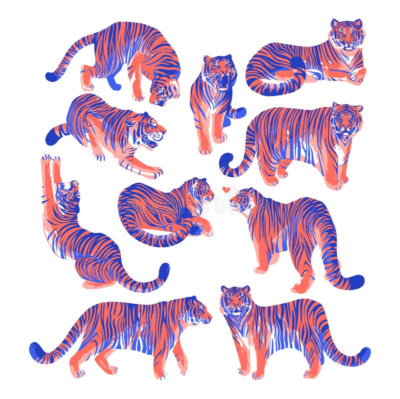 Tigers in Six Different Positions Stock Vector - Illustration of head ...