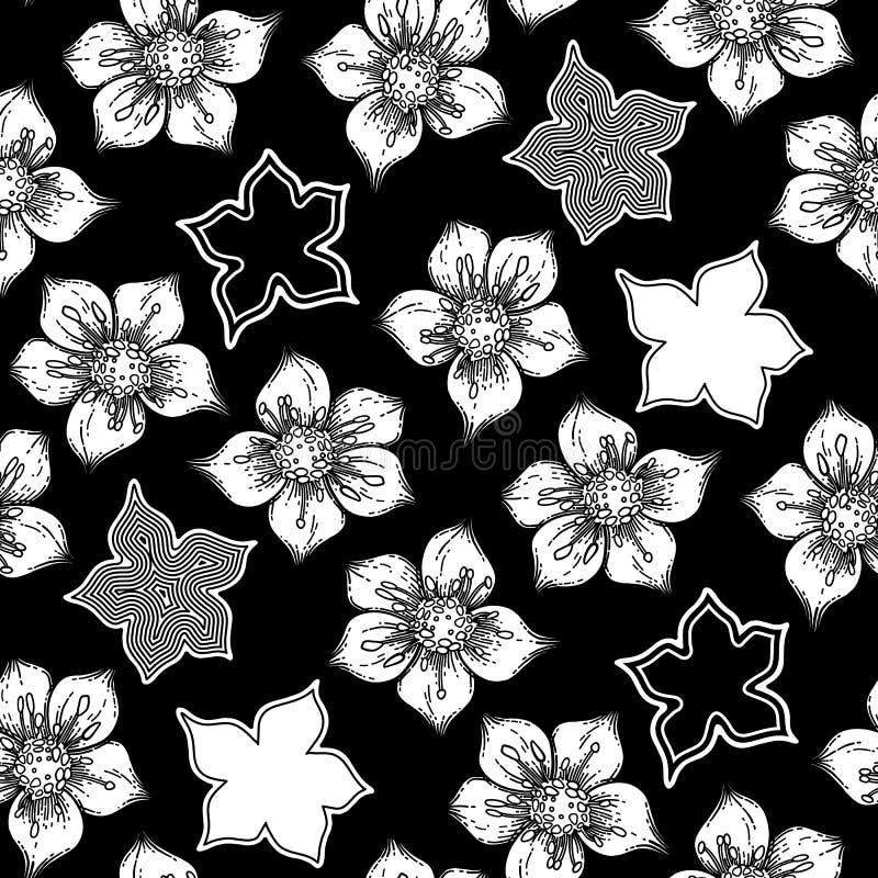 Graphic cumin pattern stock vector. Illustration of handdrawn - 113912991