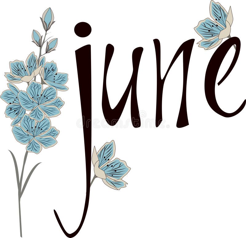 Set Vector Lettering of Month. Handwritten Modern Black Outline ...