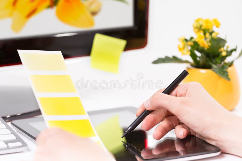 Graphic Designer at Work. Color Samples. Stock Image - Image of human ...