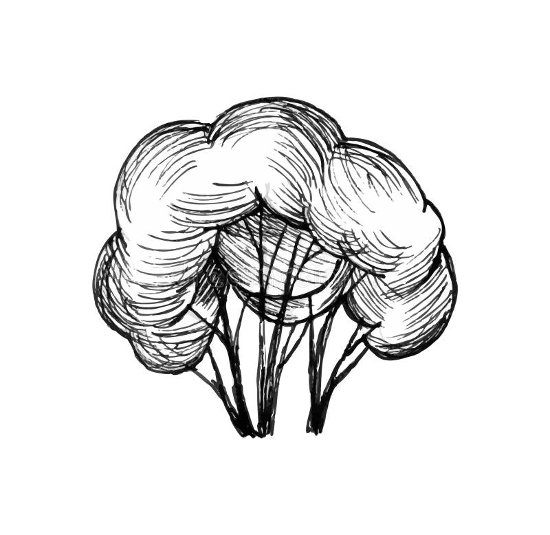 Graphic drawing of a bush stock illustration. Illustration of graphic ...