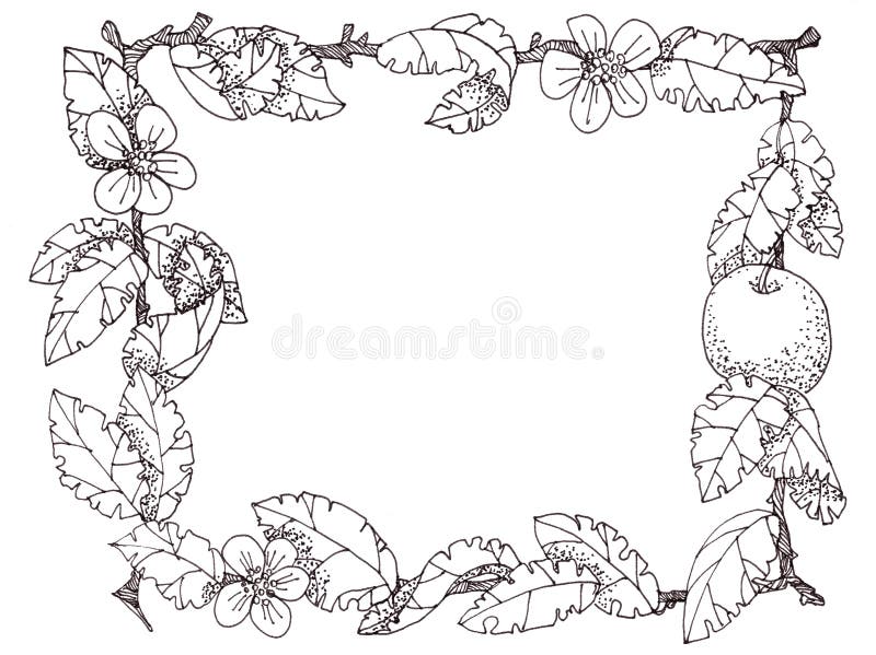 Graphic Drawing Floral Frame of Apple Branches with Flowers, Apples and ...