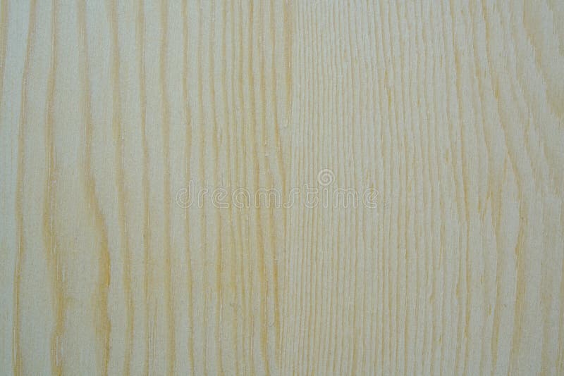 Graphic Elements Photographed in the Studio with Natural Light Well for ...