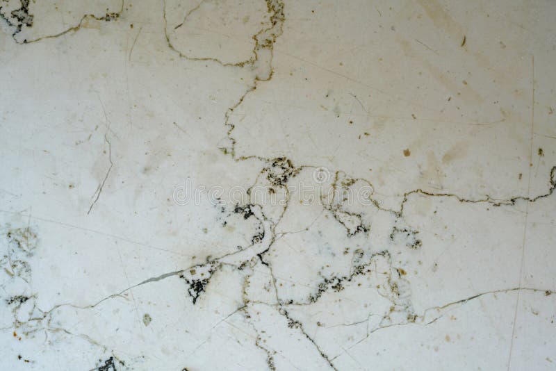 Graphic Elements Photographed in the Studio with Natural Light Well for ...