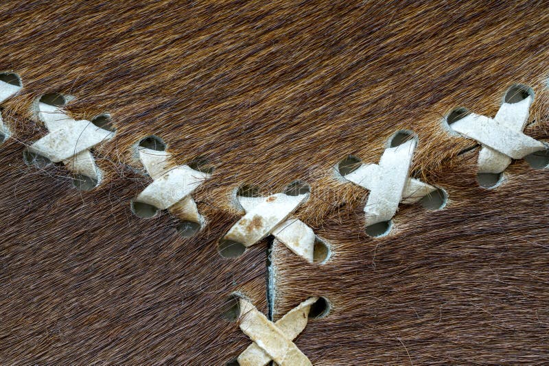 Graphic Elements Photographed in the Studio with Natural Light Well for ...