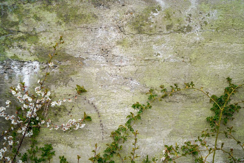 Graphic Elements Photographed in the Studio with Natural Light Well for ...