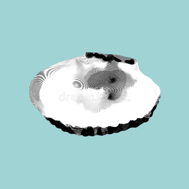 Graphic Engraving of a Seashell.Realistic Shells Illustration. Stock ...