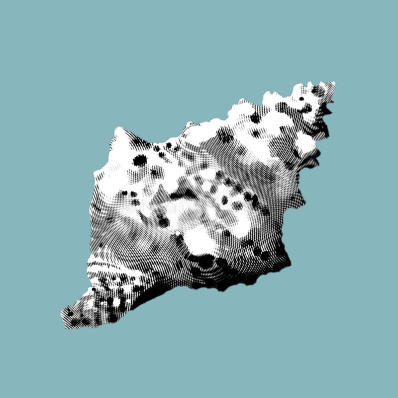 Graphic Engraving of a Seashell.Realistic Shells Illustration. Stock ...