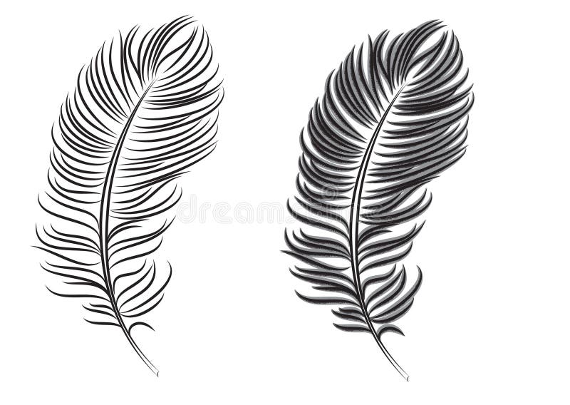Graphic Feather Vector Illustration Stock Vector - Illustration of ...