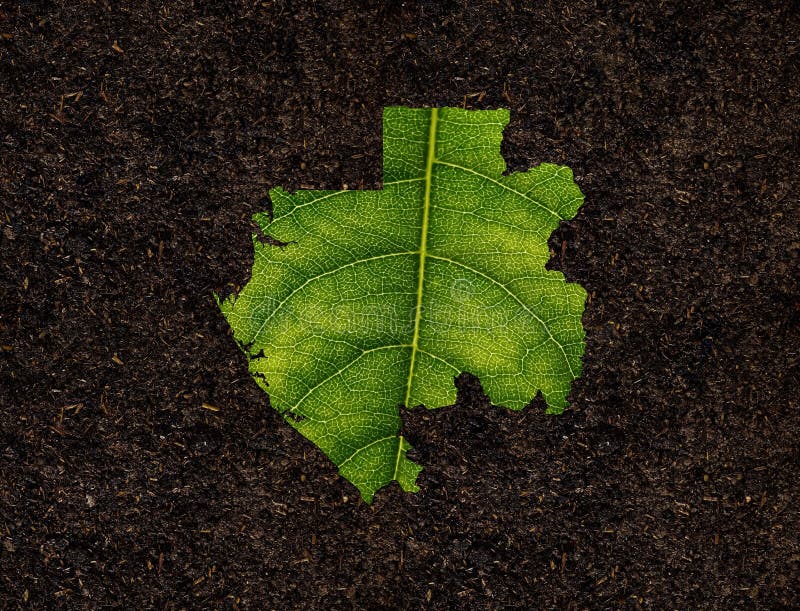 Graphic Gabon Map in Form of a Leaf on Dark Soil Background Concept ...
