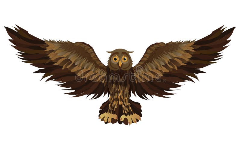 Graphic Illustration of Flying Owl. Vector Illustration Stock Vector ...