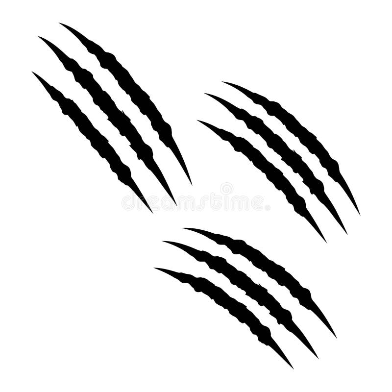 Animal Claw Marks stock vector. Illustration of scratches - 392250895