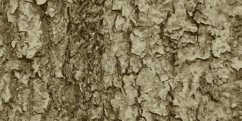 Graphic Illustration of Tree Bark. Tree Bark Stock Image - Image of ...