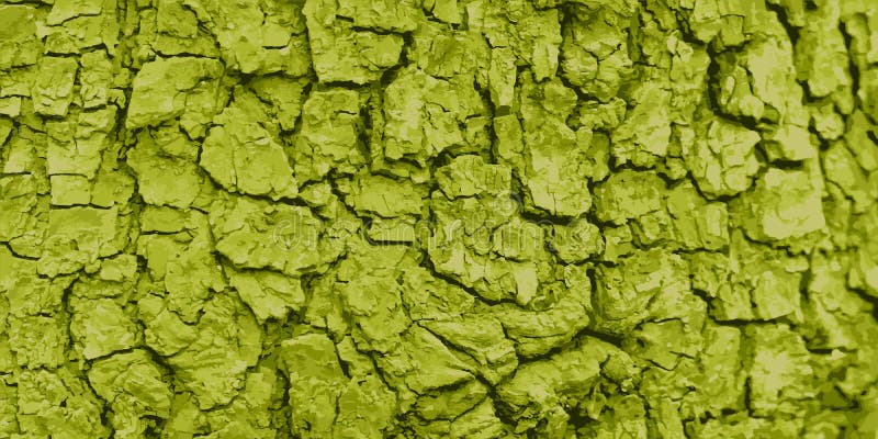 Graphic Illustration of Tree Bark. Tree Bark Stock Photo - Image of ...