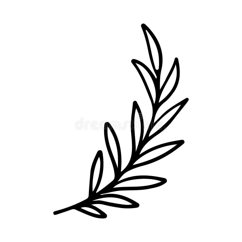 Graphic Linear Branch. Illustration Isolated on White Background. Stock ...