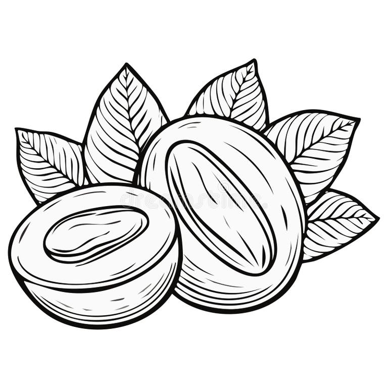 Lychee Fruit Line Stock Illustrations – 1,194 Lychee Fruit Line Stock ...