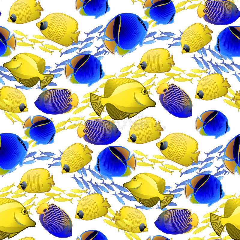 Graphic ocean fish pattern stock vector. Illustration of seamless ...