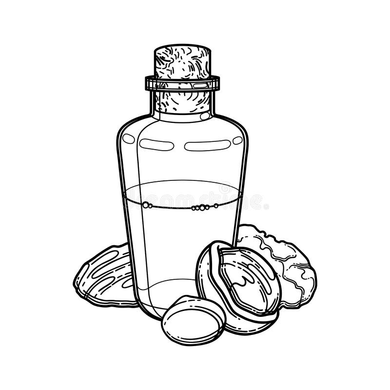 Shea Oil Stock Illustrations – 510 Shea Oil Stock Illustrations ...