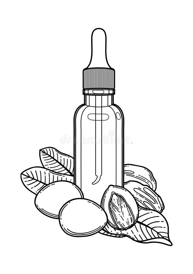 Shea Oil Stock Illustrations – 510 Shea Oil Stock Illustrations ...