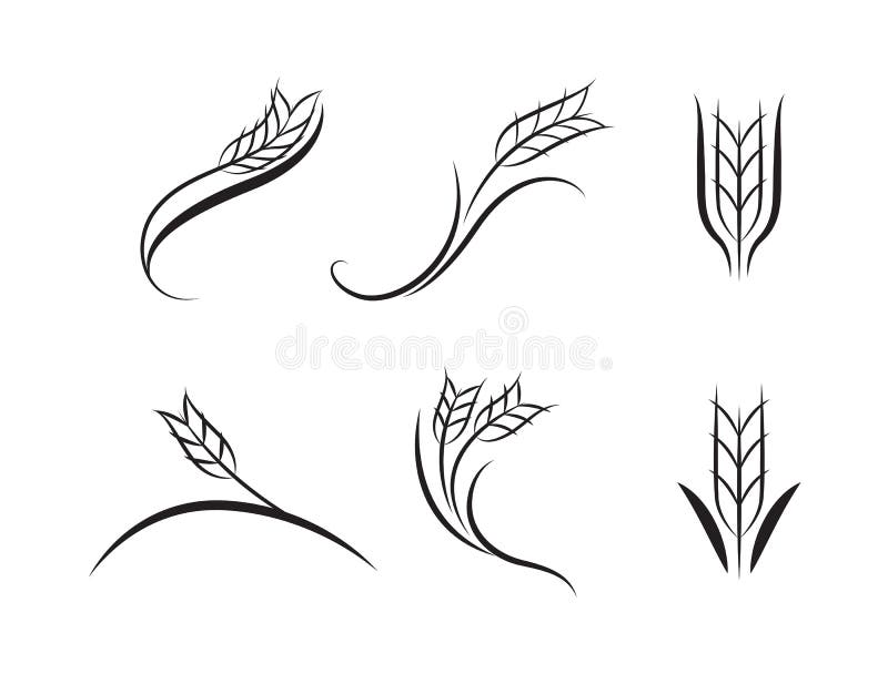 Graphic wheat, vector stock vector. Illustration of hand - 96061601