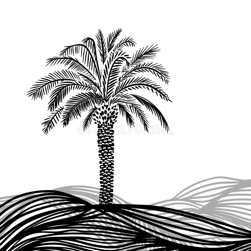Graphic Palm Tree with Seagulls. Hand Drawn Stock Illustration ...