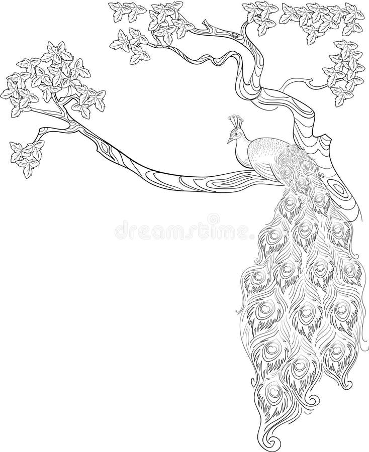 Graphic Peacock on the Tree. Stock Vector - Illustration of backgrounds ...