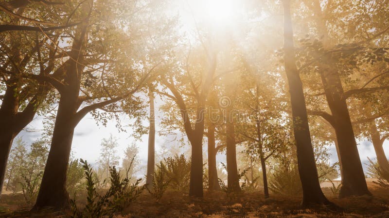 Integration of Technology in a Natural Environment, 3D Render Stock ...