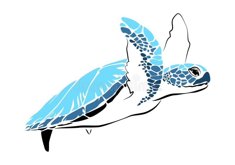 Graphic Sea Turtle , Illustration of Sea Turtle , of Turtle Design ...