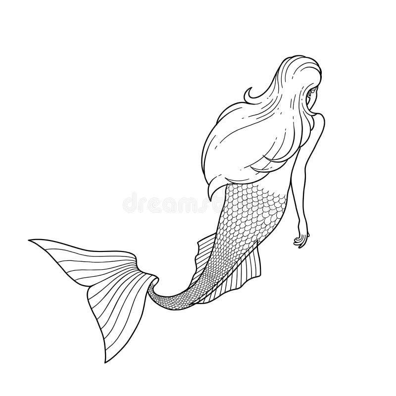 Graphic Swimming Mermaid. View from the Back Stock Vector ...
