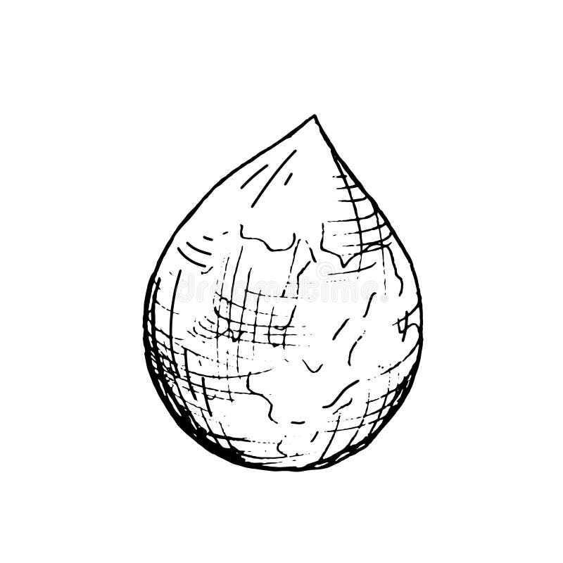 Graphic Vector Image of an Avocado Fruit Pit, Hand Drawn Stock Vector ...