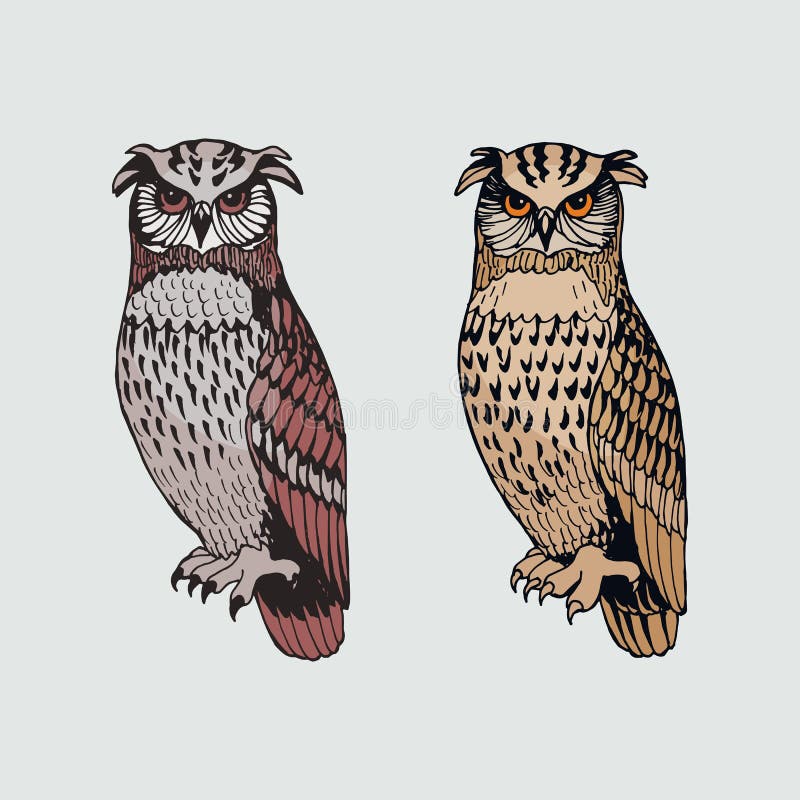 Graphic Vector Owls Set Isolated Stock Vector - Illustration of nature ...