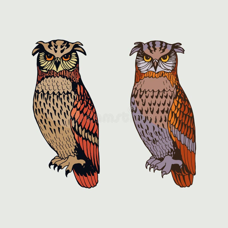 Graphic Vector Owls Set Isolated Stock Vector - Illustration of eyes ...