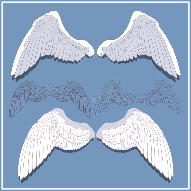 Graphic Wings. Front and Rear Side Stock Vector - Illustration of ...